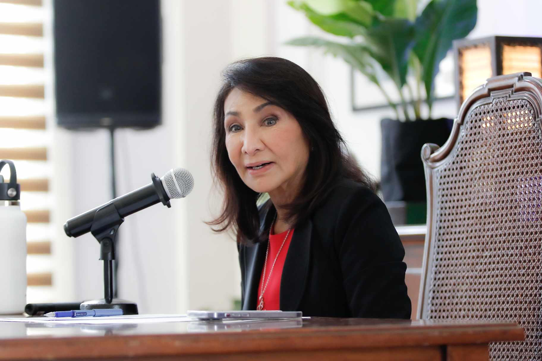 Cebu to sell NFA rice at P20/kilo soon — Gov. Gwen Garcia | INQUIRER.net