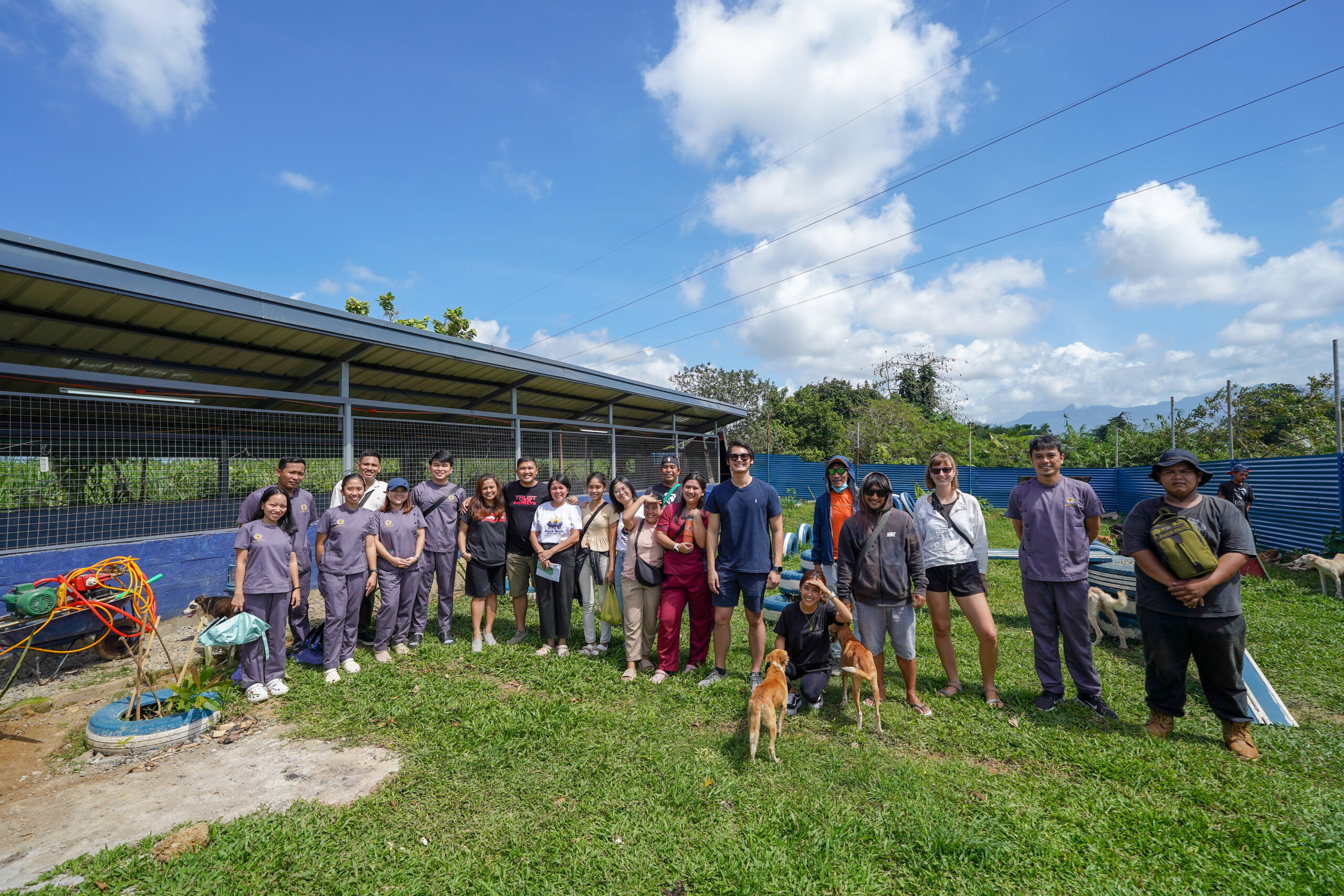 Victorias dog shelter adopts 20 impounded dogs from Bacolod | INQUIRER.net